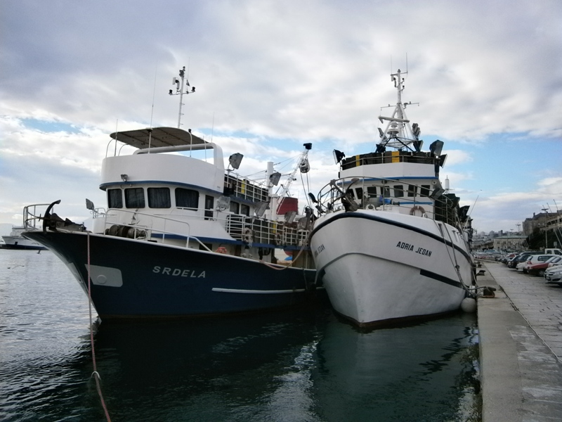 Što bi ribari trebali znati u 2016. godini? - KIGO.hr | KIGO.hr